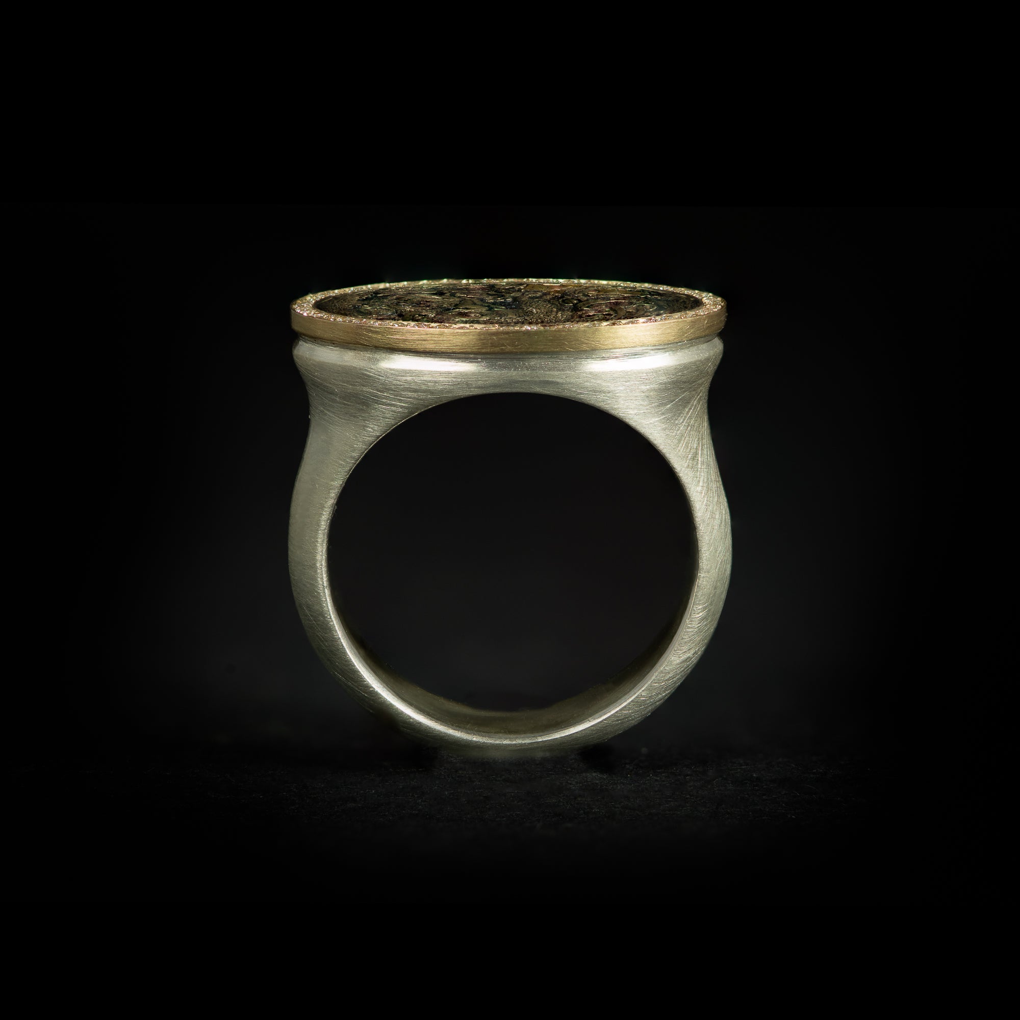 Moonlight Stroll Vol.1 Signet Ring | Pictures In Metal
